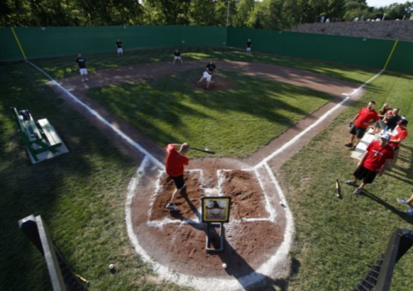 Wiffle ball stadium is a field of dreams - Little Ebbets Field